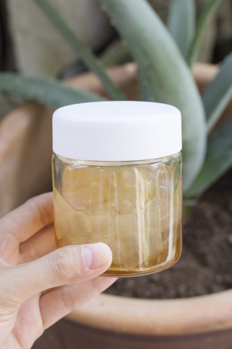 Honey Aloe Vera Tea – Ma Recipes